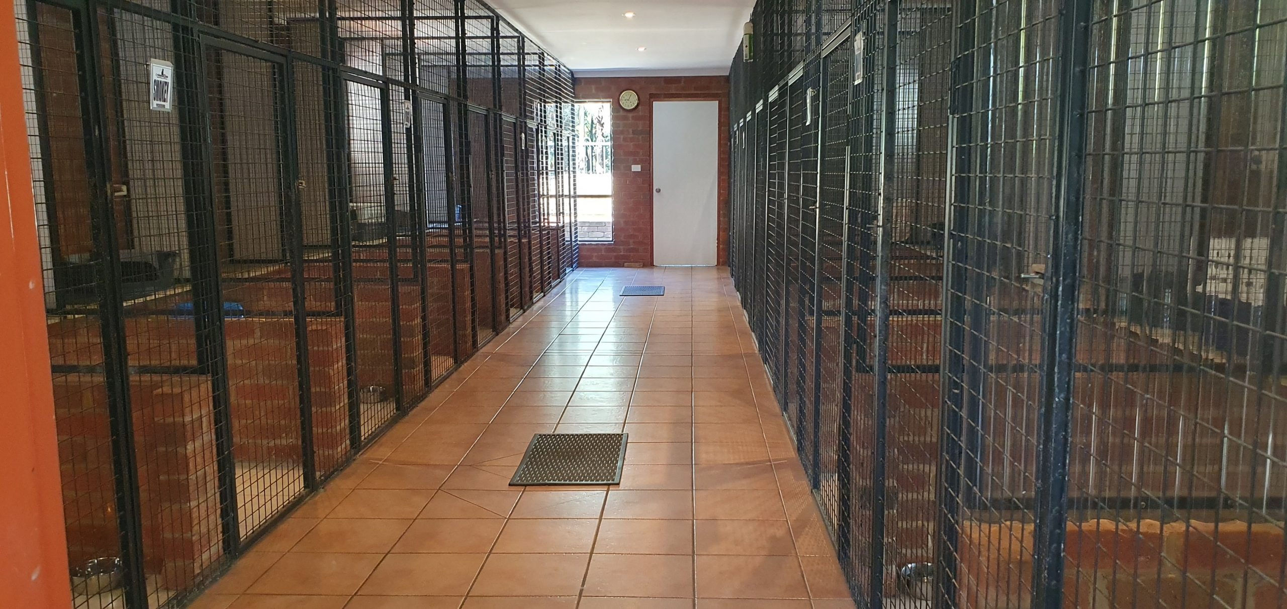 AristoCats Boarding Cattery – 766 Midland Highway, Mount Rowan ...